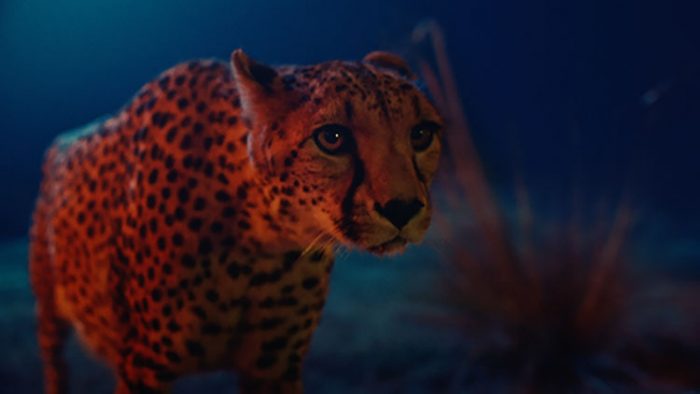 Nike, nacido Mercurial » Agencia de Publicidad Mouse Interactivo SAS